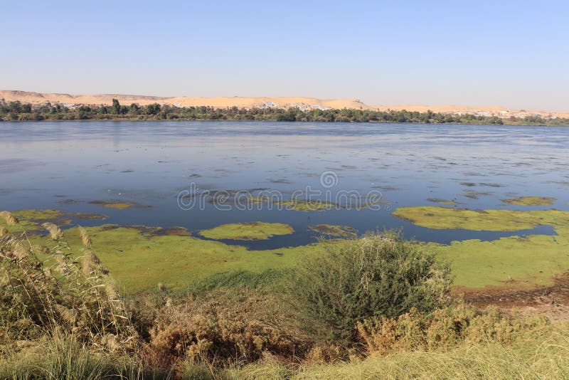 Beautiful Landscape for Wetland of River Nile in Aswan Stock Image ...