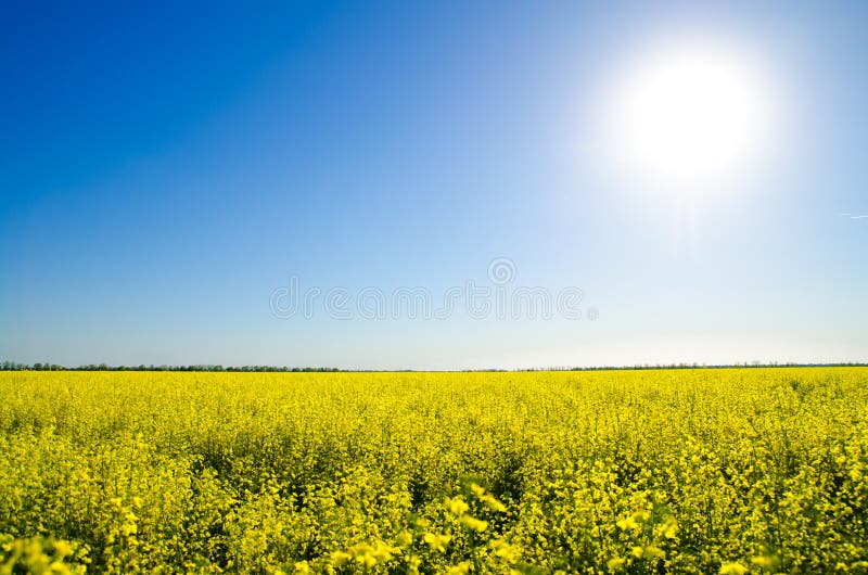 Beautiful landscape stock image. Image of nature, beautiful - 32823105