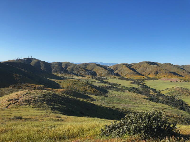 The four kings lay here. stock photo. Image of beautiful - 155707674