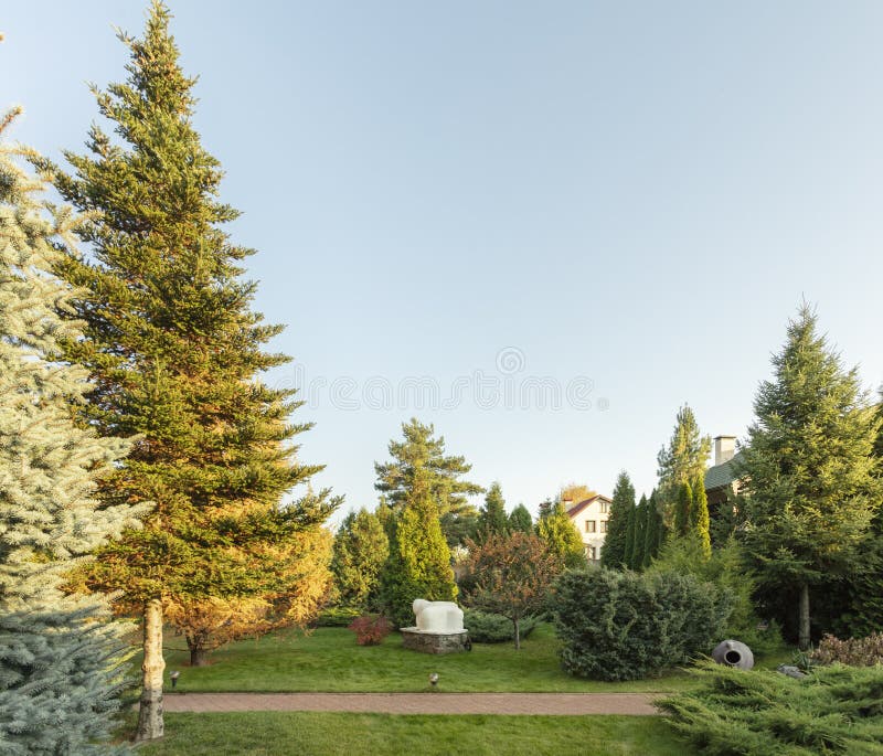 Landscaping on a Personal Plot Stock Photo - Image of landscape, plant ...