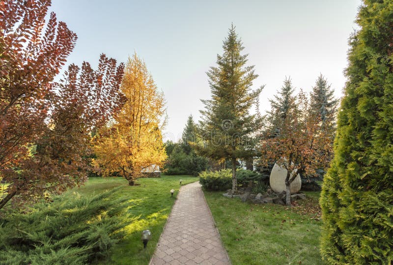 Landscaping on a Personal Plot Stock Photo - Image of landscape, plant ...