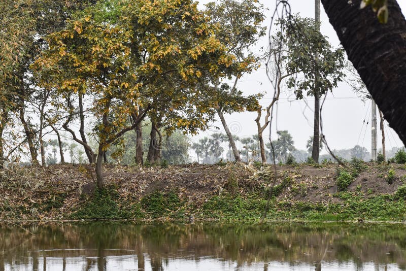 Beautiful Landscaping in West Bengal, India Stock Photo - Image of ...