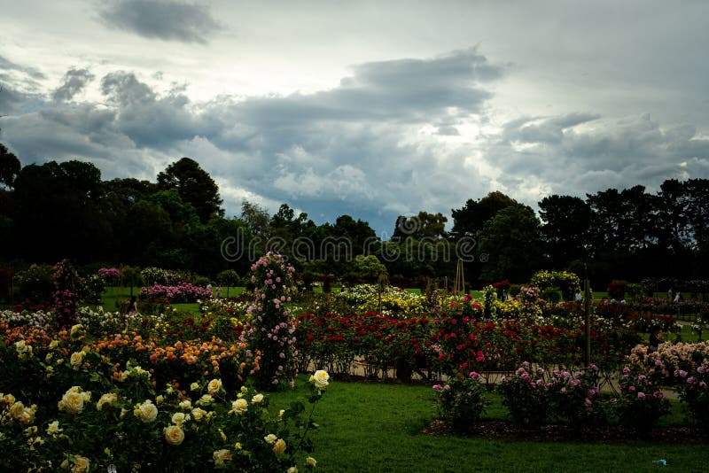 Beautiful Large Flower Garden with Many Different Types of Flowers ...