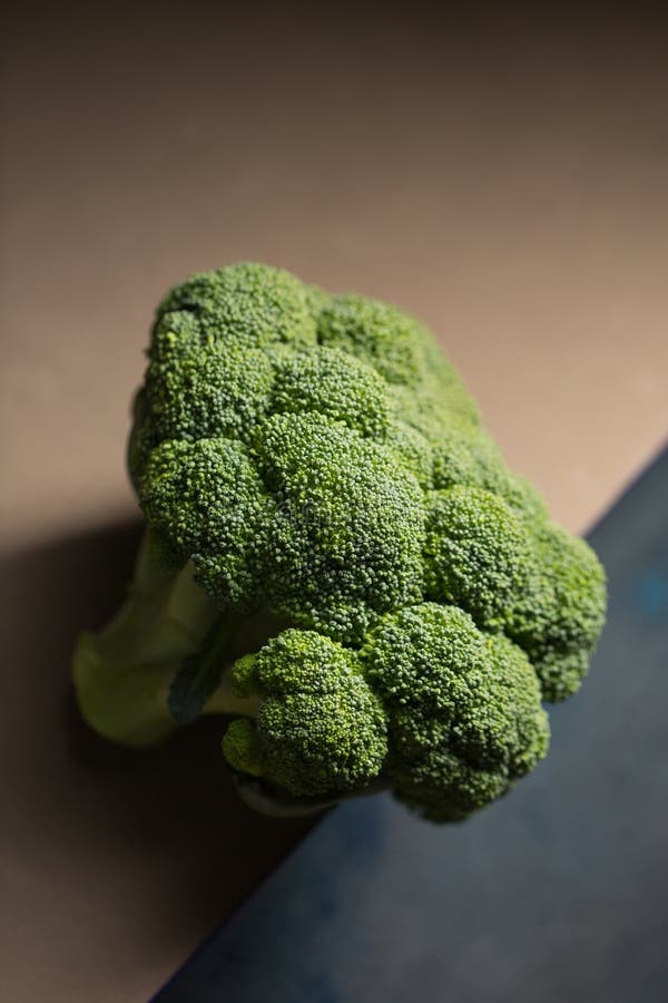 A Beautiful Large Head of Broccoli Stock Photo - Image of freshness ...