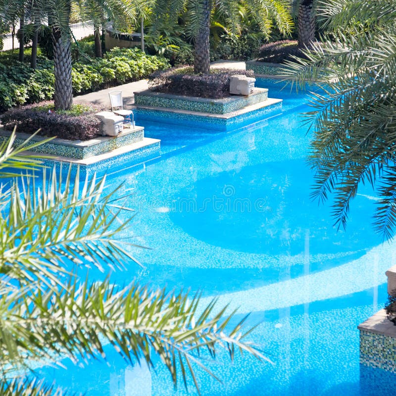 Beautiful Large Swimming Pool Stock Image - Image of outdoor, coconut ...