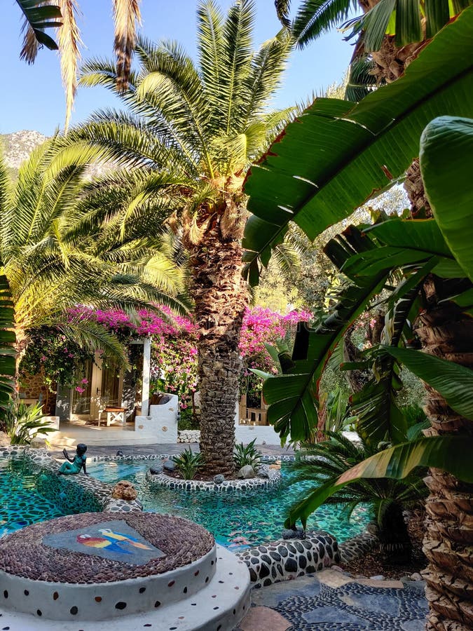 A Beautiful Large Swimming Pool Near the House Stock Photo - Image of ...