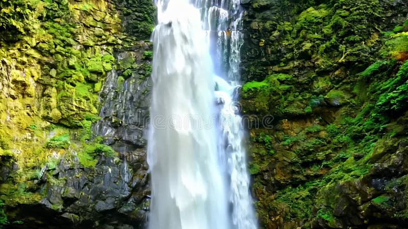 Beautiful Large Waterfall with Sun Rays. Stock Video - Video of cascade ...