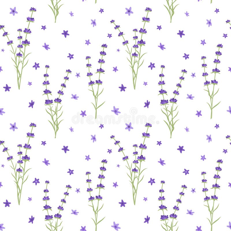 Beautiful Lavender Pattern on the White Background Stock Vector ...