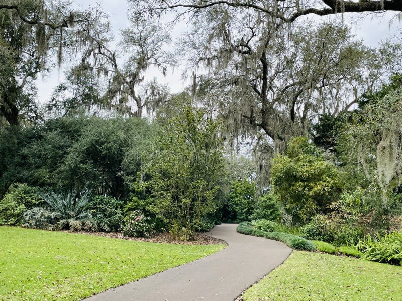 Nicely Pave Path Walk Trees Around and Greenery Plants Stock Photo ...