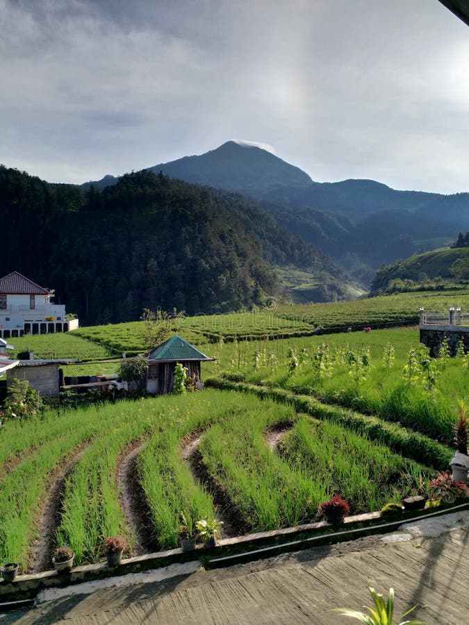 Beautiful of lawu mountain stock image. Image of central - 132210865