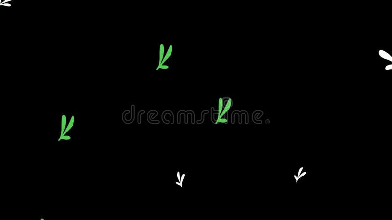 Beautiful Leaf Animation Loop Animation Transparent Background with an ...