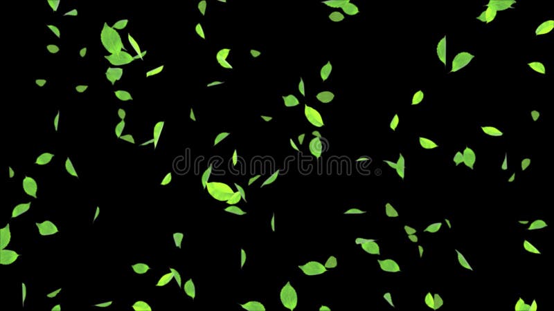 Beautiful Leaves Falling Down Motion Graphic Slow Motion Realistic 3D ...