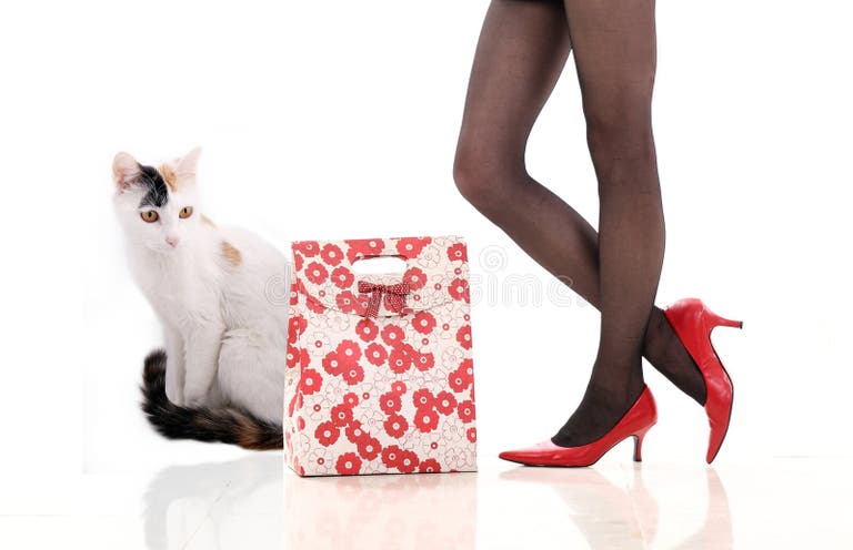 1,158 Cat Tin Stock Photos - Free & Royalty-Free Stock Photos from ...