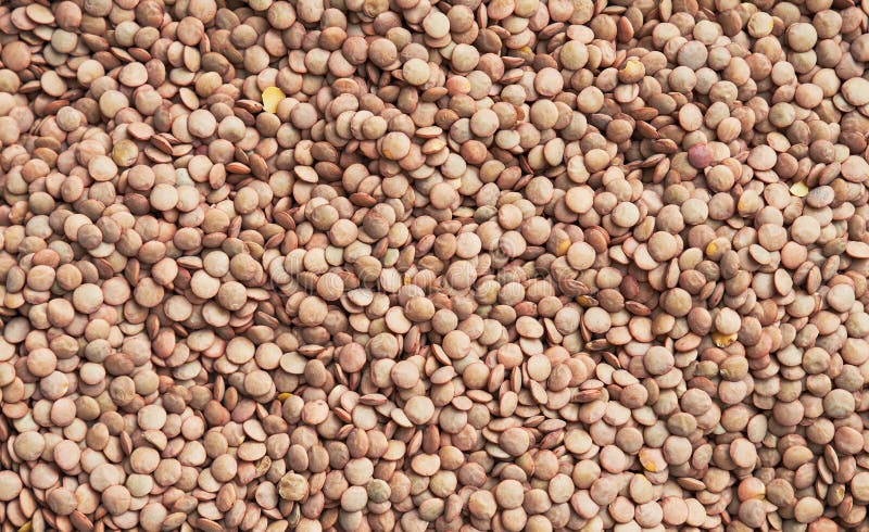 Beautiful lentils image stock image. Image of grain - 235192021