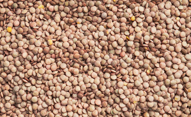 Beautiful lentils image stock photo. Image of lentils - 254165026