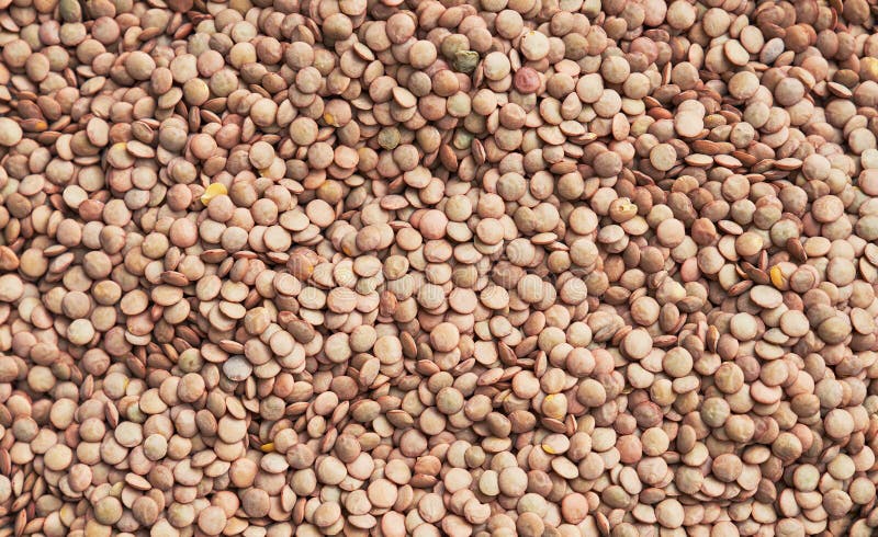 Beautiful lentils image stock image. Image of grain - 265777535