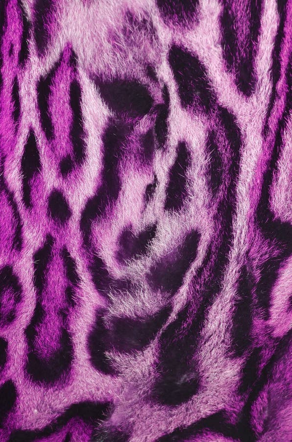 Beautiful Leopard Fur Closeup Background Texture Pattern Stock Photo ...