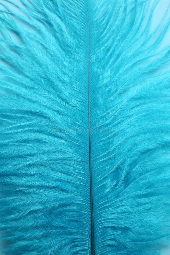Beautiful Light Blue Feather As Background, Closeup Stock Image - Image ...