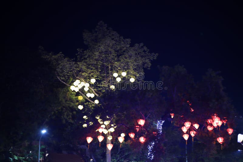 Beautiful Light, Decorate the Tree at Night Stock Image - Image of ...