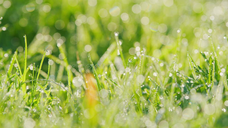 Beautiful Light Effect Background. Amazing Artistic Background Concept ...