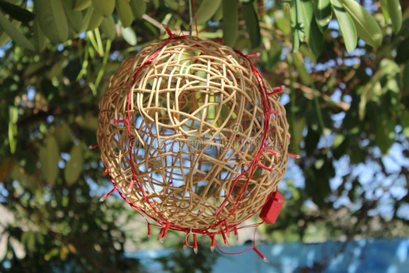 Beautiful Light Tree Lantern Between Trees Stock Photo - Image of tree ...