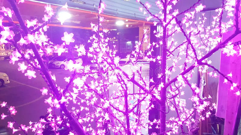 Beautiful Light on the Tree. Stock Photo - Image of light, merry: 104649778