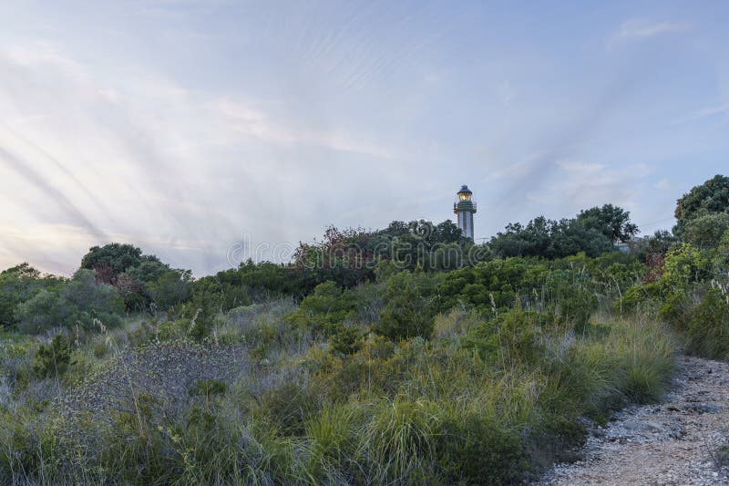 A Beautiful Lighthouse Towering Over a Hillside Covered with Plants ...