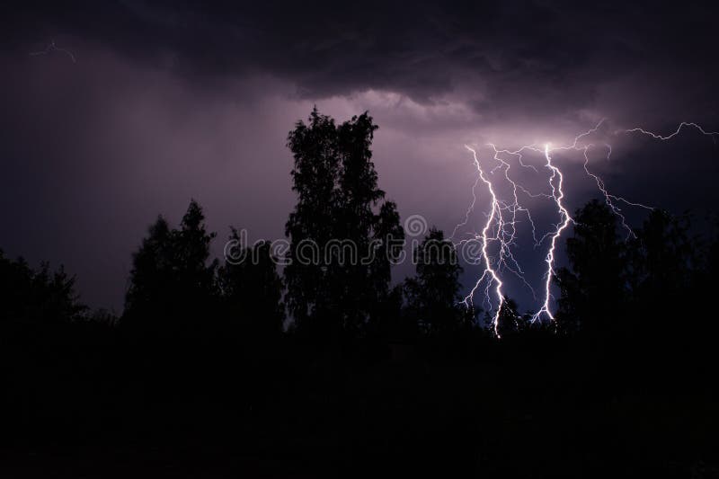 Beautiful Lightning during a Thunderstorm at Night in a Forest that ...