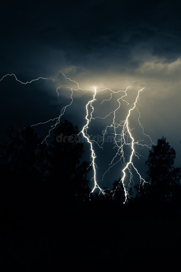 Beautiful Lightning during a Thunderstorm at Night in a Forest that ...