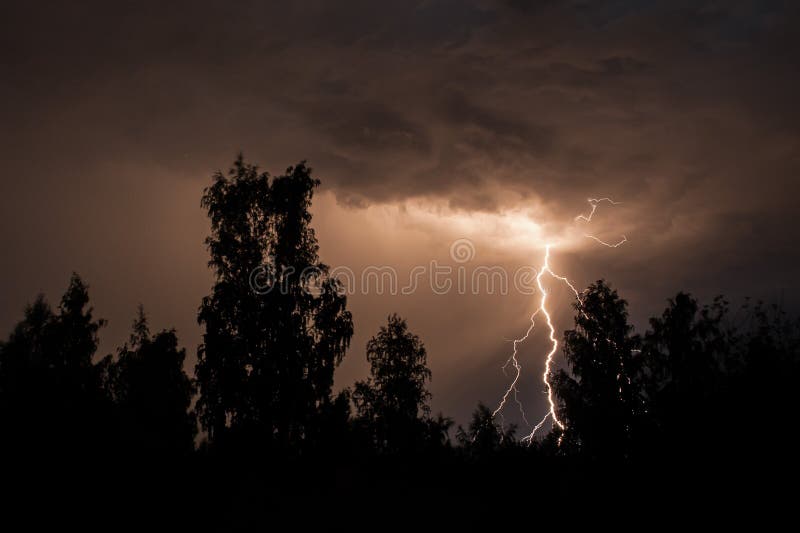 Beautiful Lightning during a Thunderstorm at Night in a Forest that ...
