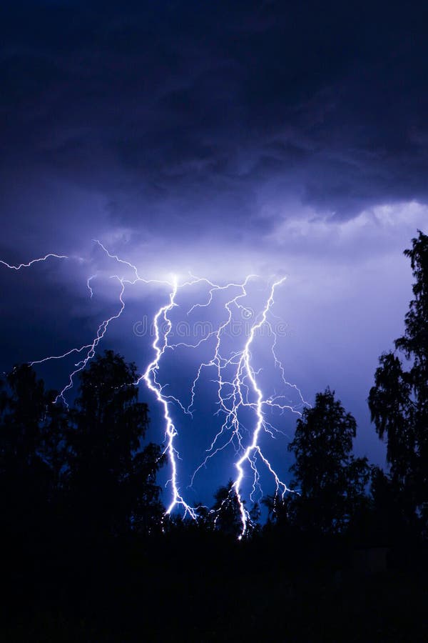 Beautiful Lightning during a Thunderstorm at Night in a Forest that ...
