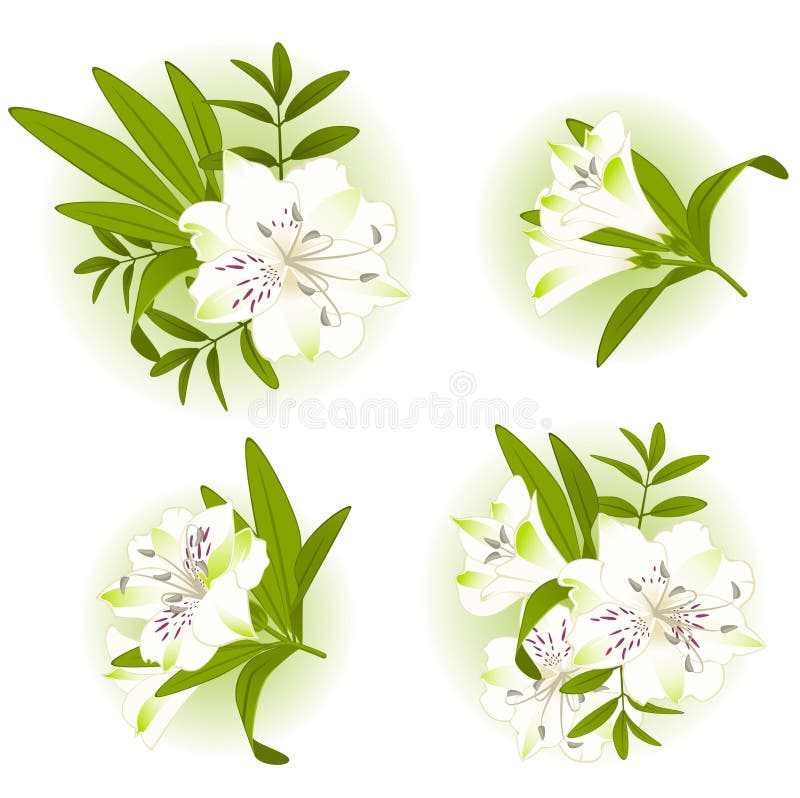 1,100+ Lily design Free Stock Photos - StockFreeImages