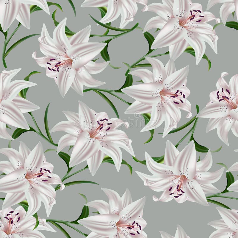 Beautiful Lily Flower Design Seamless Pattern Stock Illustration ...