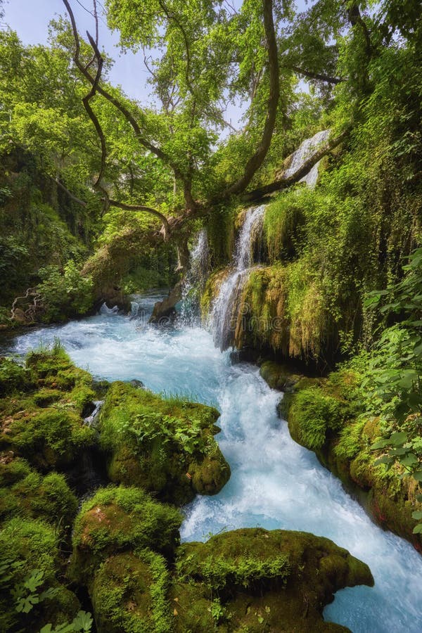 Beautiful Limestone Waterfall Forest Stock Image - Image of flowing ...