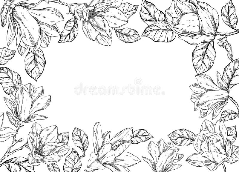 Beautiful Line Art Square Frame with Magnolia Flowers Plants. Stock ...