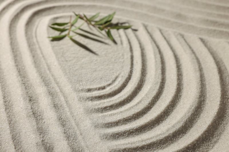 Beautiful Lines and Branches on Sand, Closeup. Zen Garden Stock Image ...