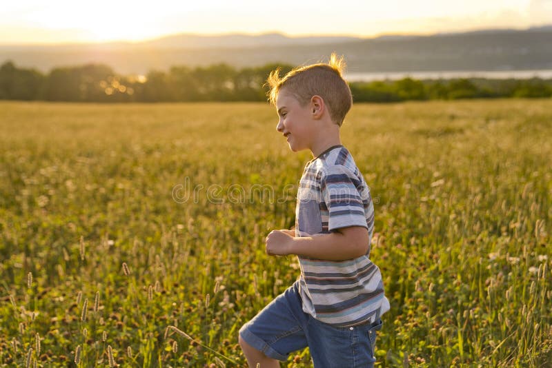 Beautiful Little Boy in Daisy Field on Sunset, Summertime Stock Photo ...