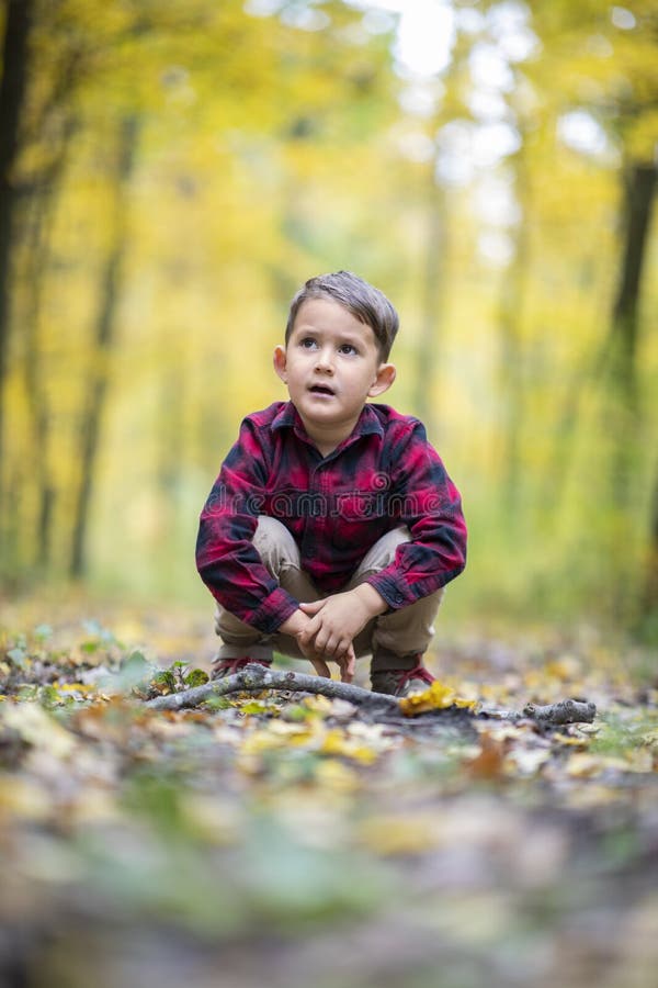 Beautiful Little Boy Playing with a Stick in the Forest Stock Image ...