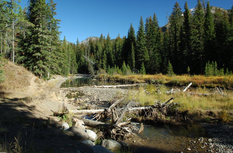 Beautiful Little Stream Picture. Image: 1497333