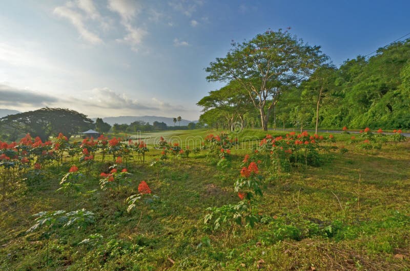 Beautiful Location in the Morning Light Stock Image - Image of heritage ...