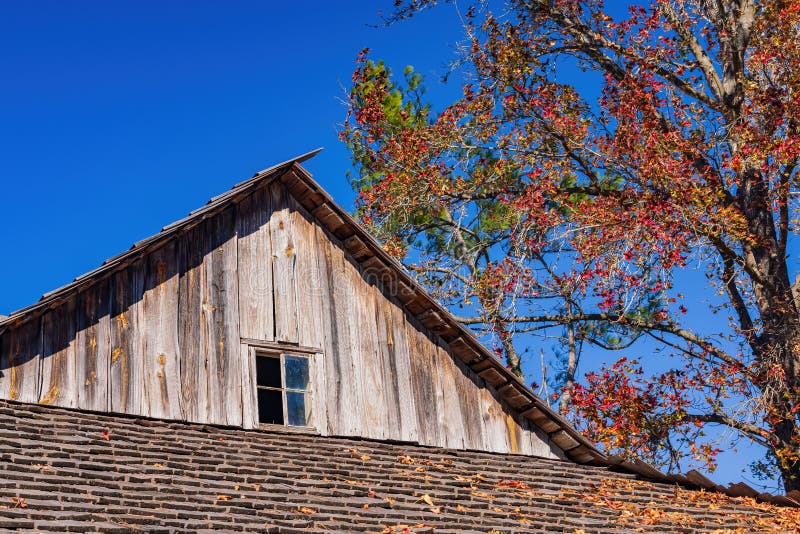 Beautiful Log Cabin Along the Texas Native Trail Stock Image - Image of ...