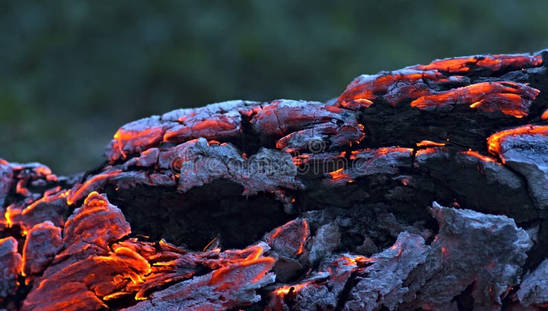 Beautiful Log Smoldering in the Fire Stock Image - Image of summer ...