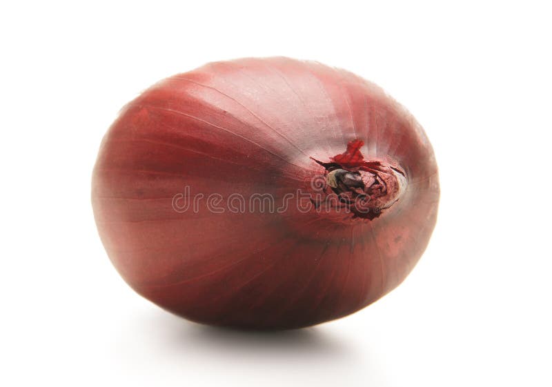 A Beautiful Lonely Fresh and Tasty Onion on White Stock Photo - Image ...