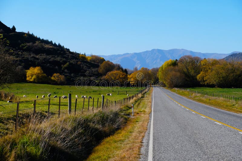 BEautiful Long Road at Newzealand Stock Image - Image of island, nature ...