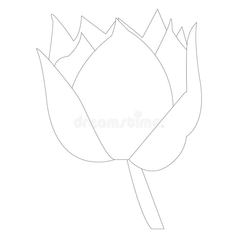 Beautiful Lotus Flower Line Art Vector. Stock Vector - Illustration of ...