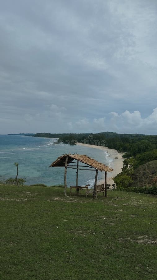 Beautiful, Low Light, Beach, Forest Stock Image - Image of forest ...