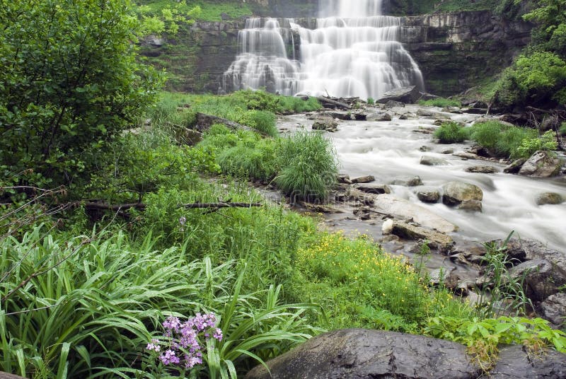 Beautiful Lush Waterfall stock photo. Image of relaxing - 2594444