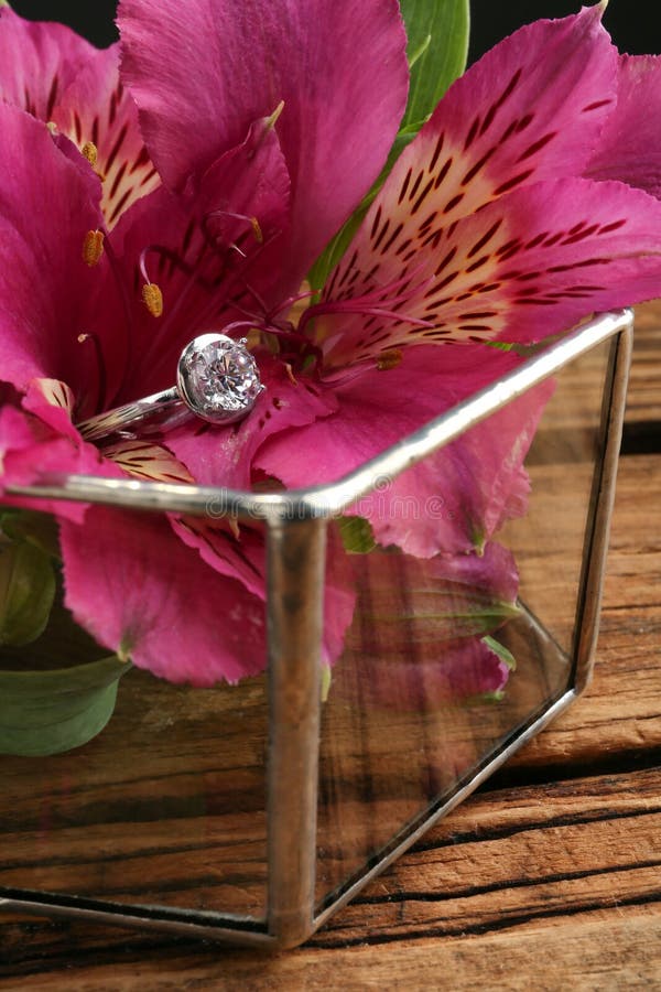 Beautiful Luxury Engagement Ring with Gemstone on Flower, Closeup Stock ...