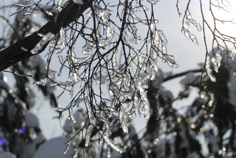 Beautiful Macro Photography. Transparent Ice with Bubbles on Frozen ...
