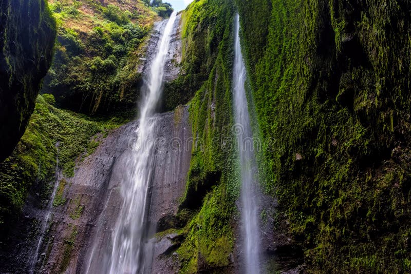 The Beautiful Madakaripura Waterfall in East Java, Indonesia Stock ...